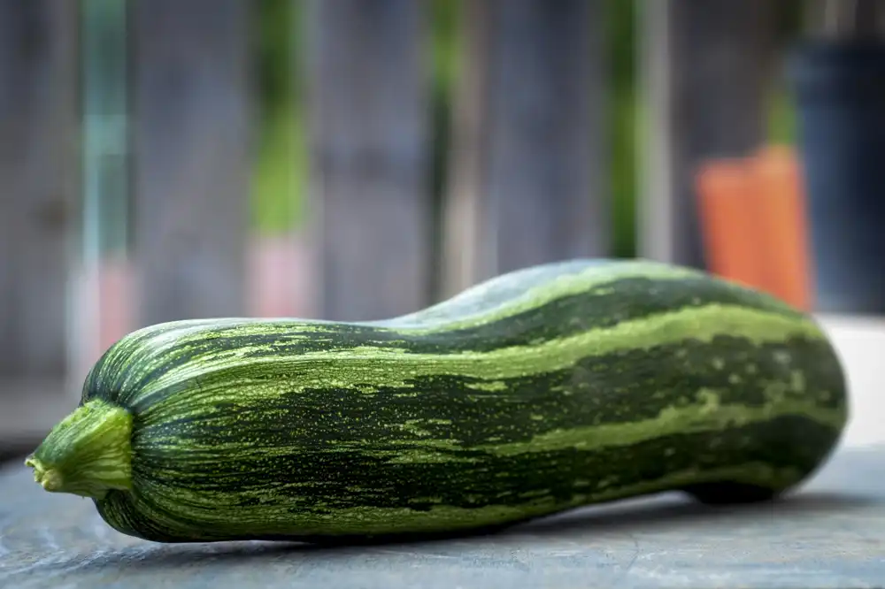 3 enkle retter med squash